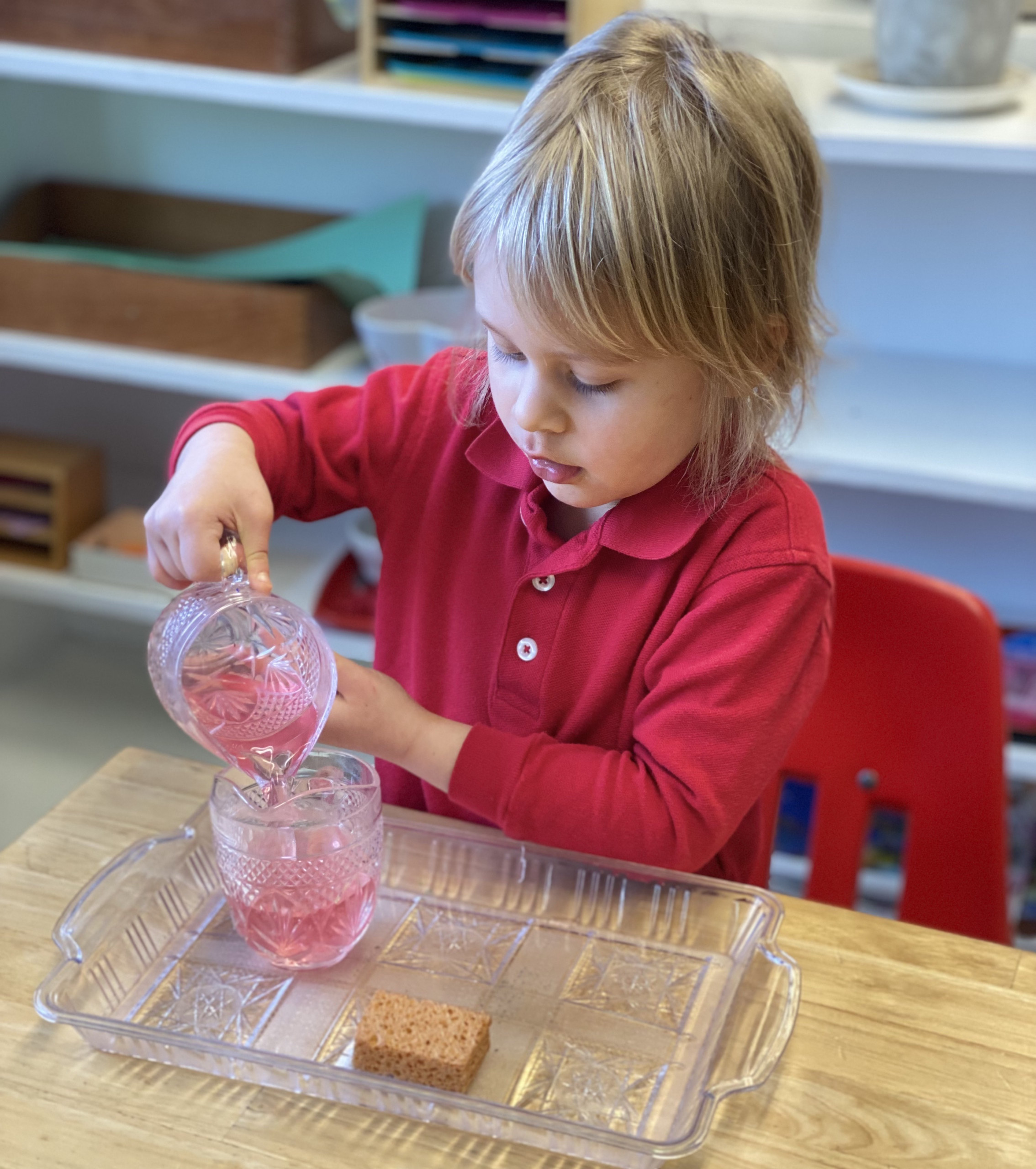 Home - Living Promise Academy